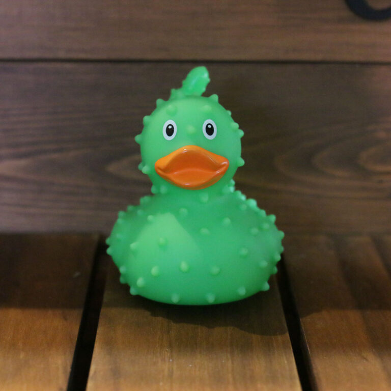 サボテンダック Cactus duck - Ducks